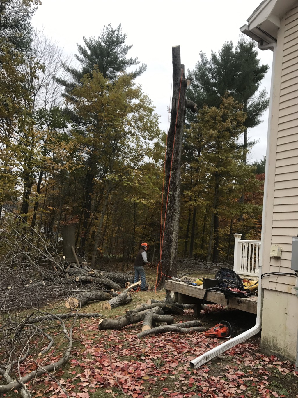 SMK Tree Services