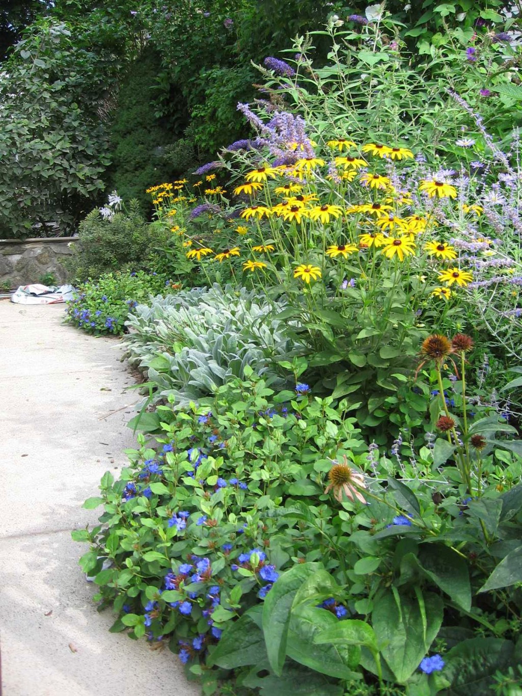 Sun And Shade Gardening