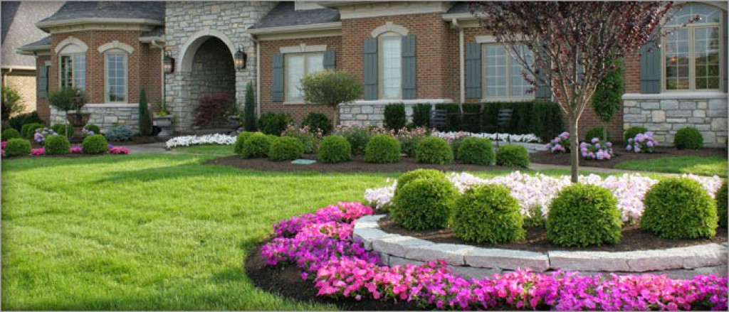 Cosentini Construction & Landscape Design
