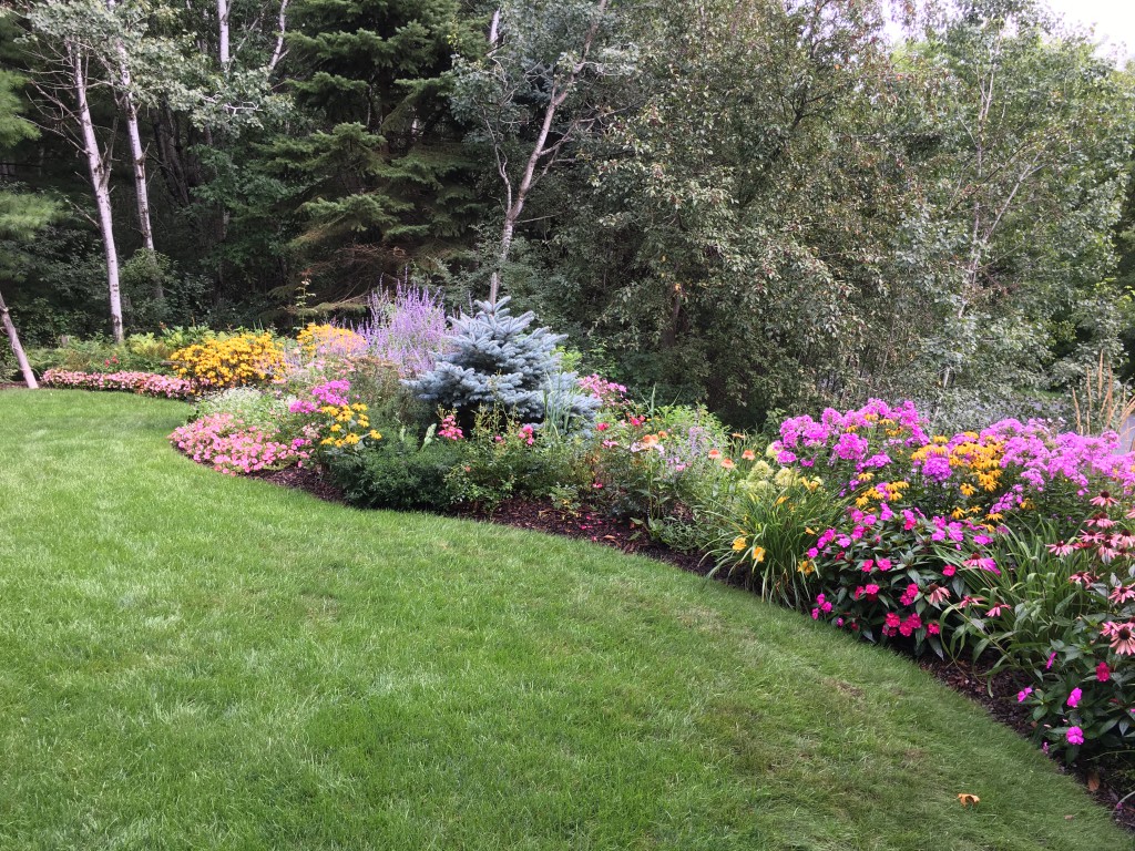 Orchard Gardens Landscape