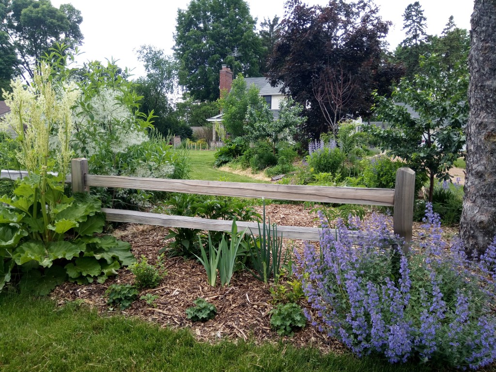HomeGrown Land Design