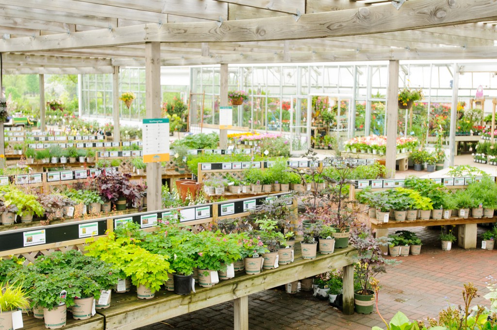 Sargent's North - Landscape & Garden Center