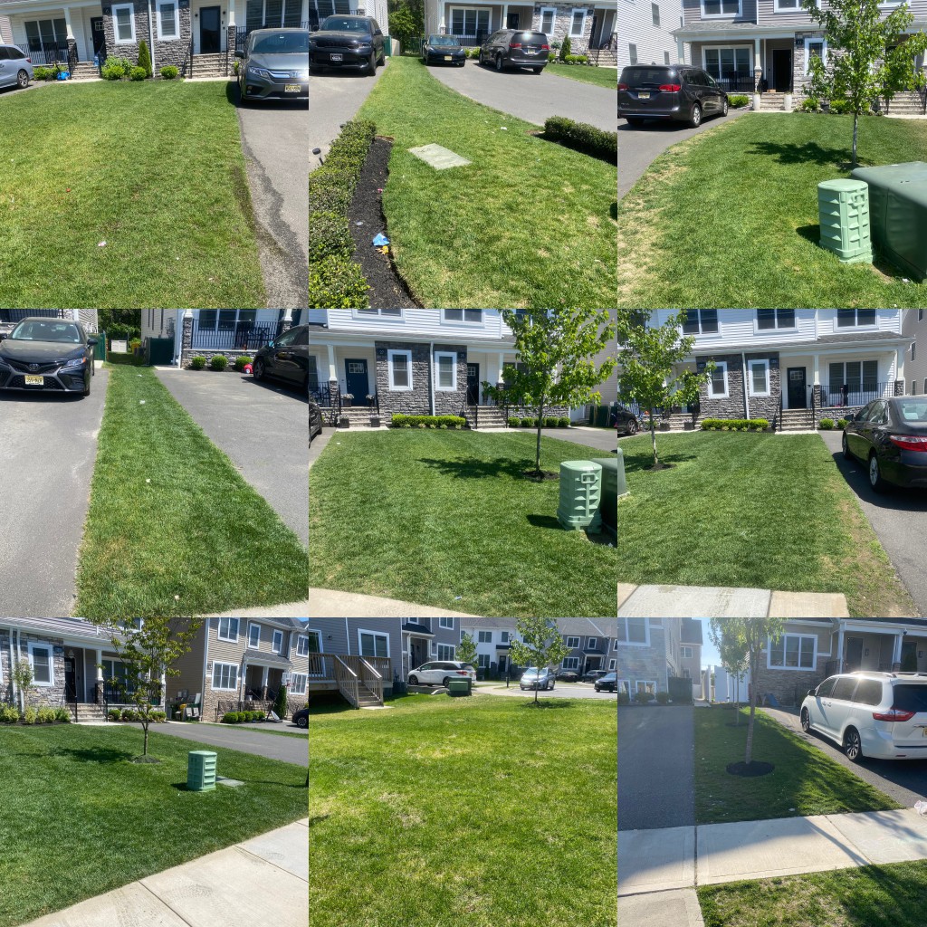 Brighton Lawn + Landscape LLC