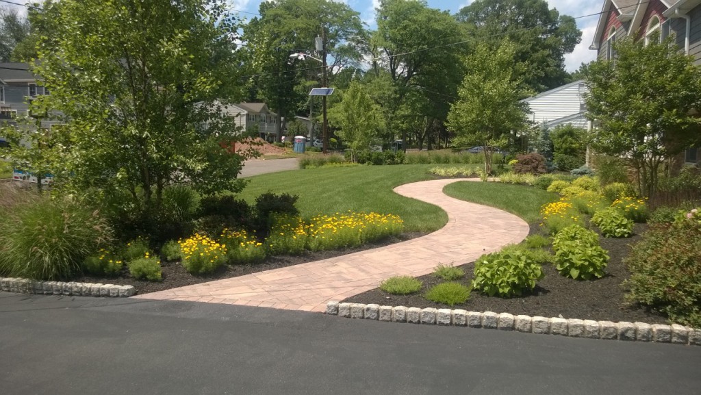 Landscape Design Strategies
