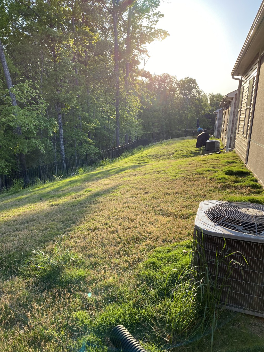 Commercial Landscape Management