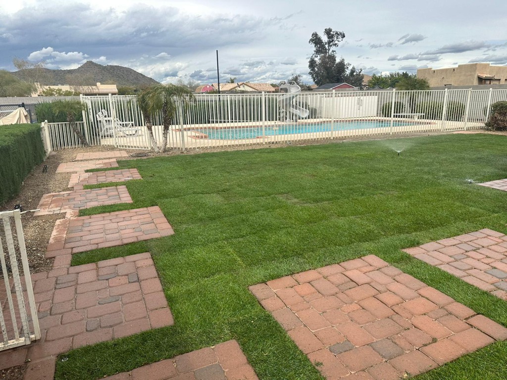 First Option Landscape