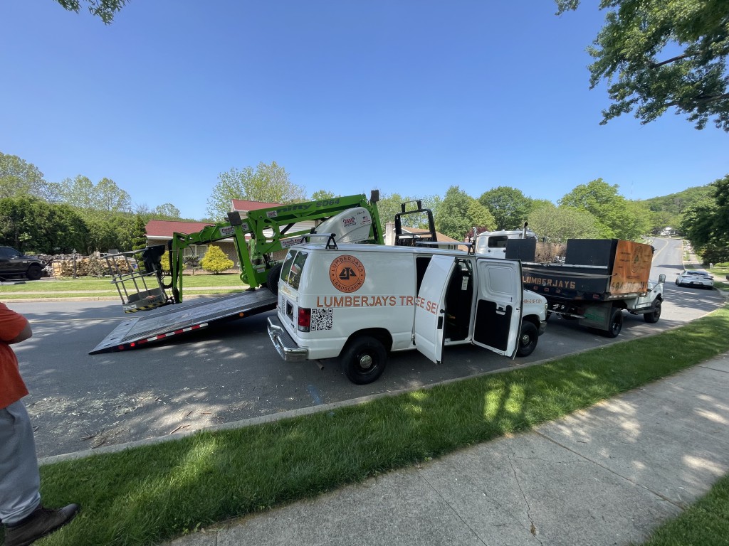 Lumberjays Landscaping Tree Services