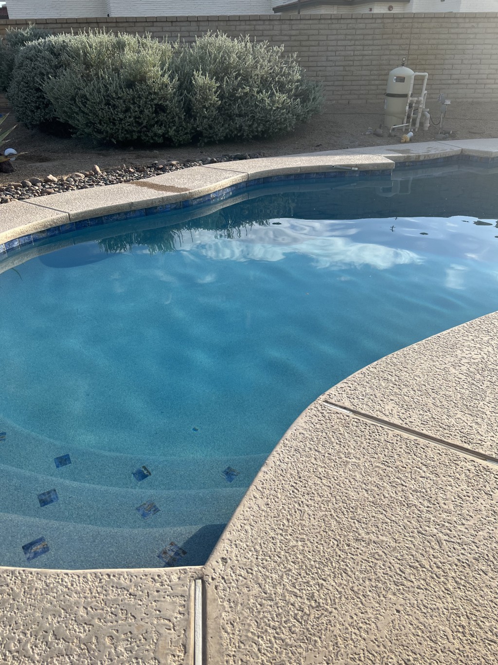 No Bull Pool Guys Surprise