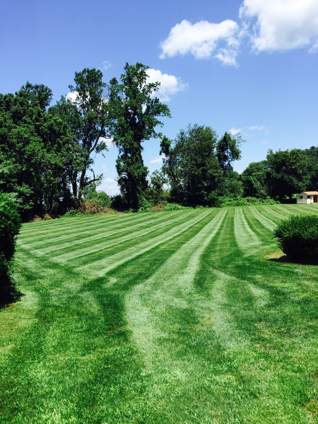 Mike's Lawn & Landscaping