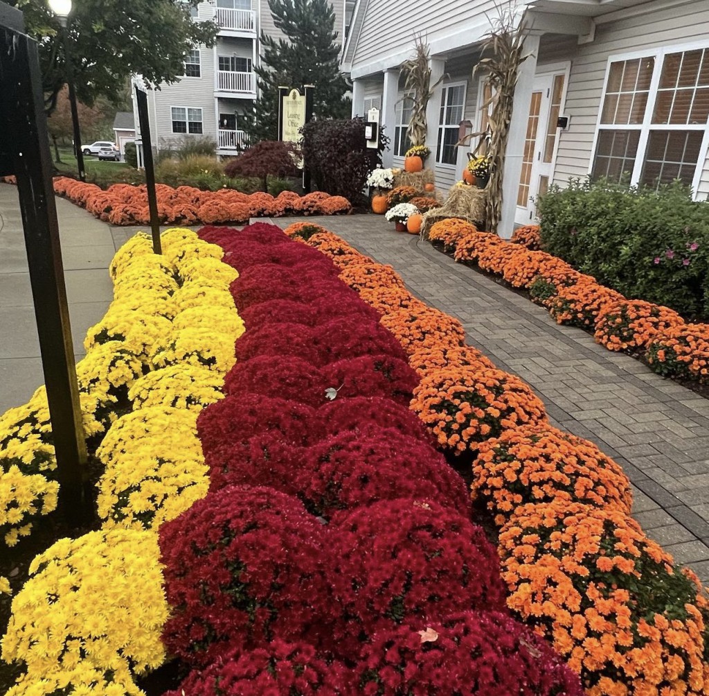 Horizon Landscaping, LLC