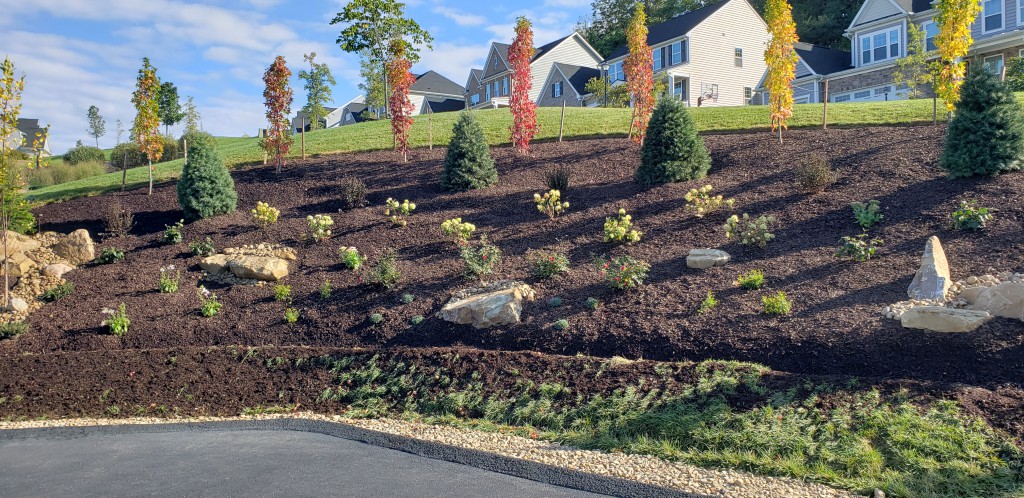 Jared Johnston Landscaping