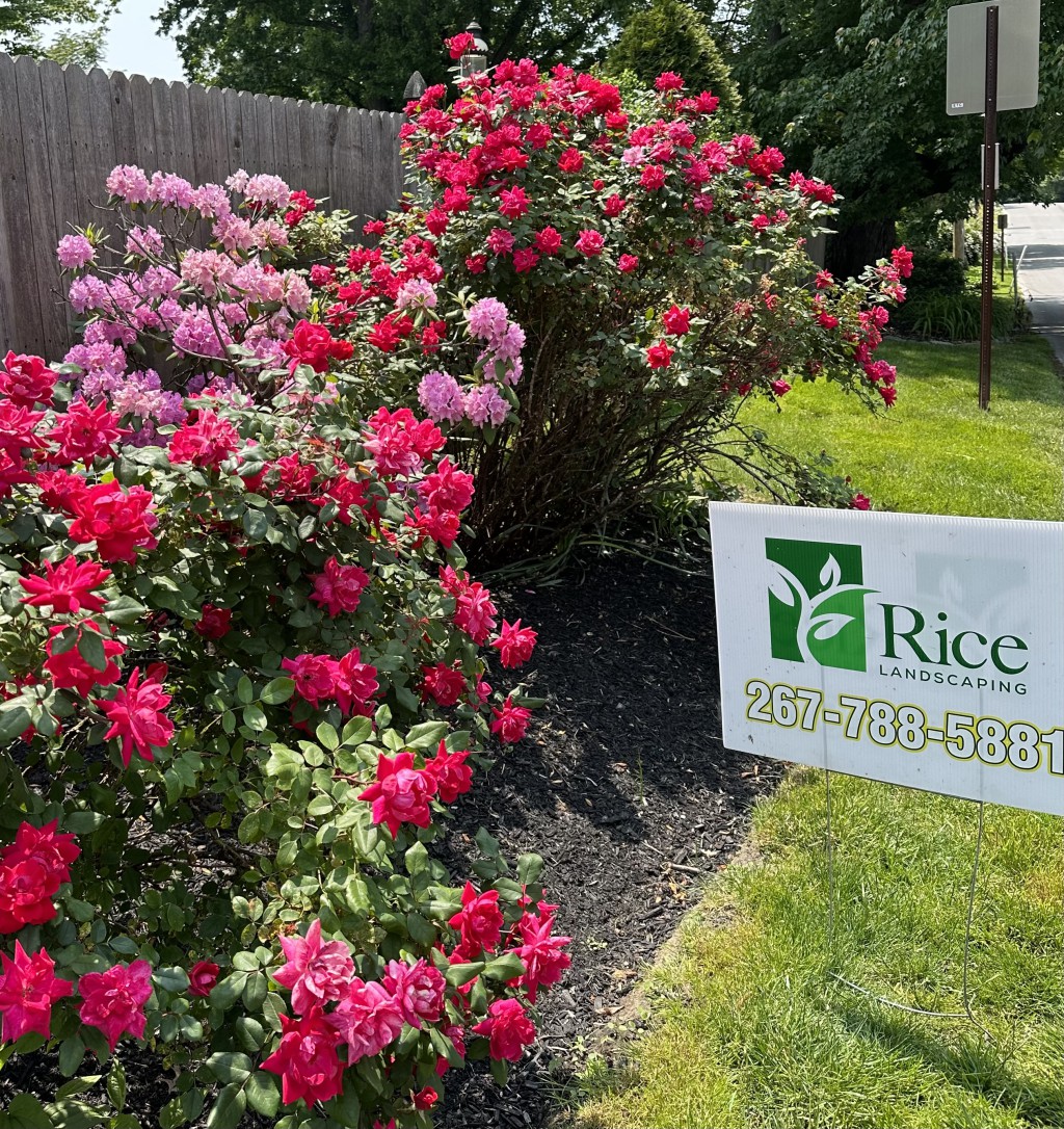 Rice Landscaping Inc.