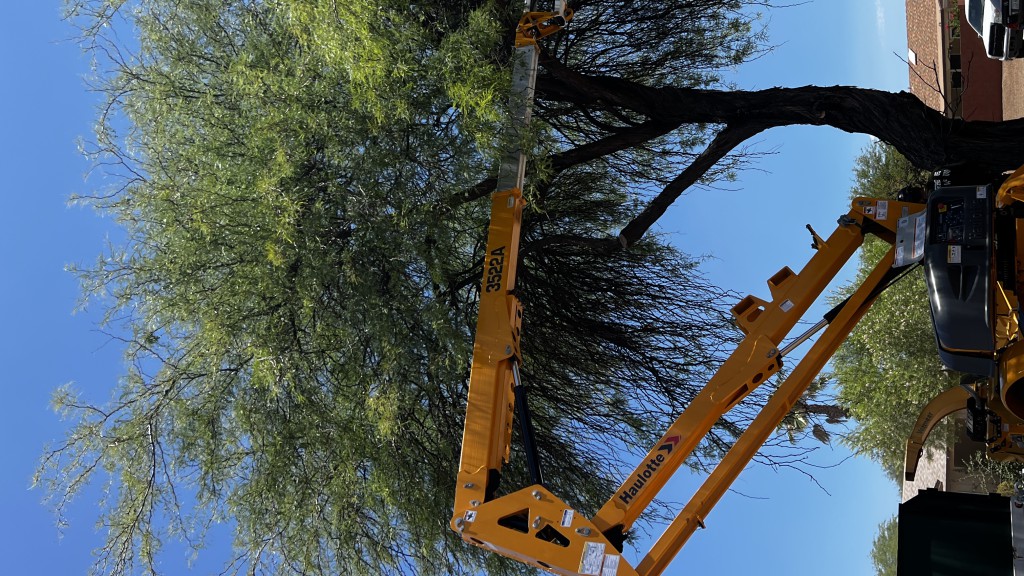 Transformed Trees & Landscaping LLC
