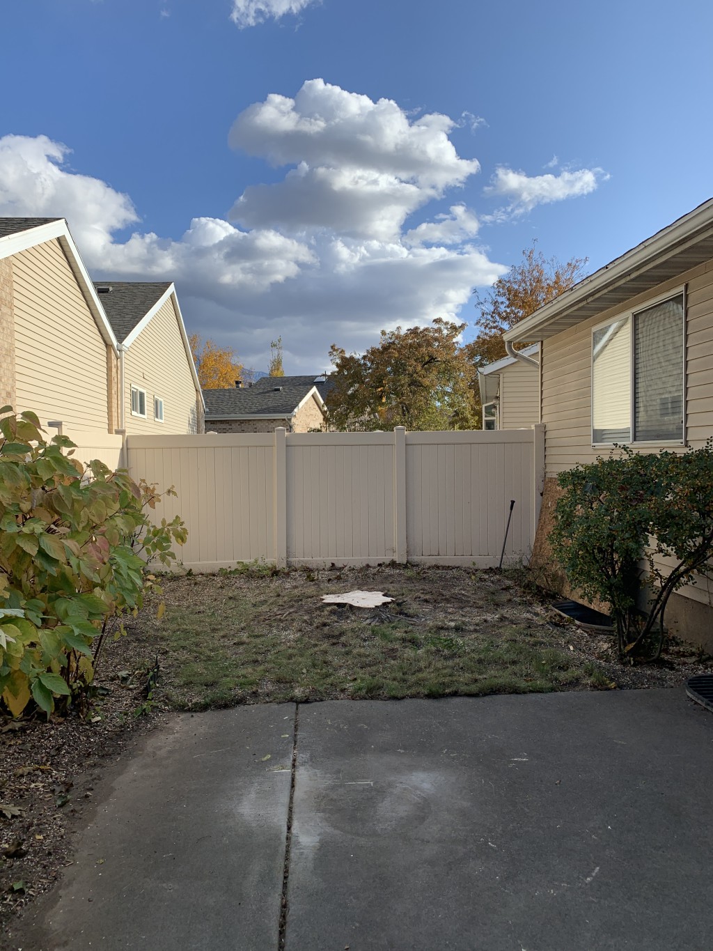 Excellence Tree & Landscape