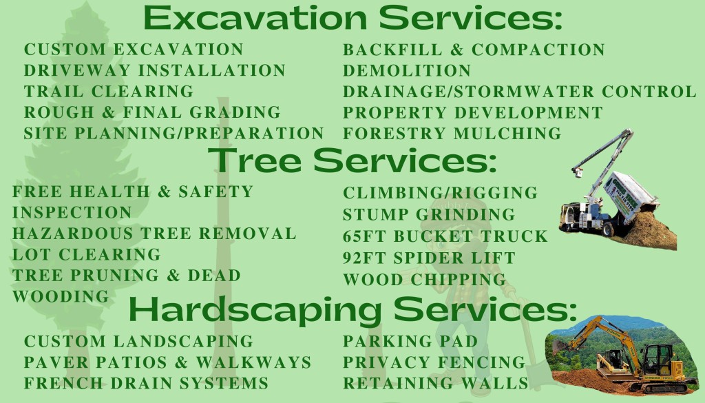 Grubb Tree and Excavation