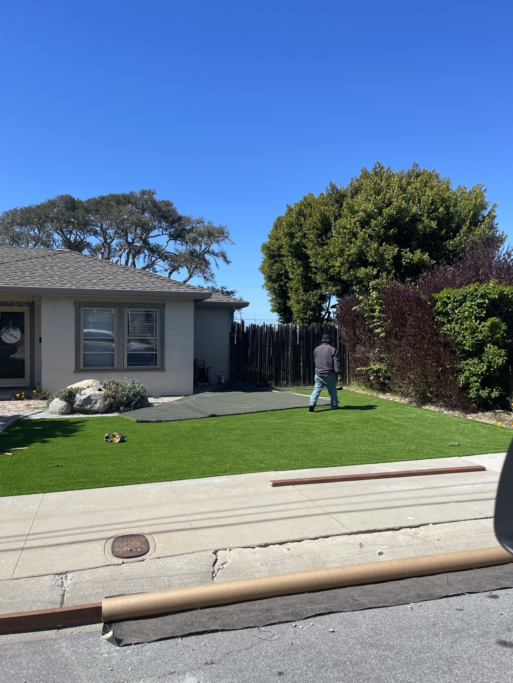 California Landscape & Tree Pros