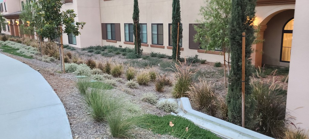 Casa Verde Landscape