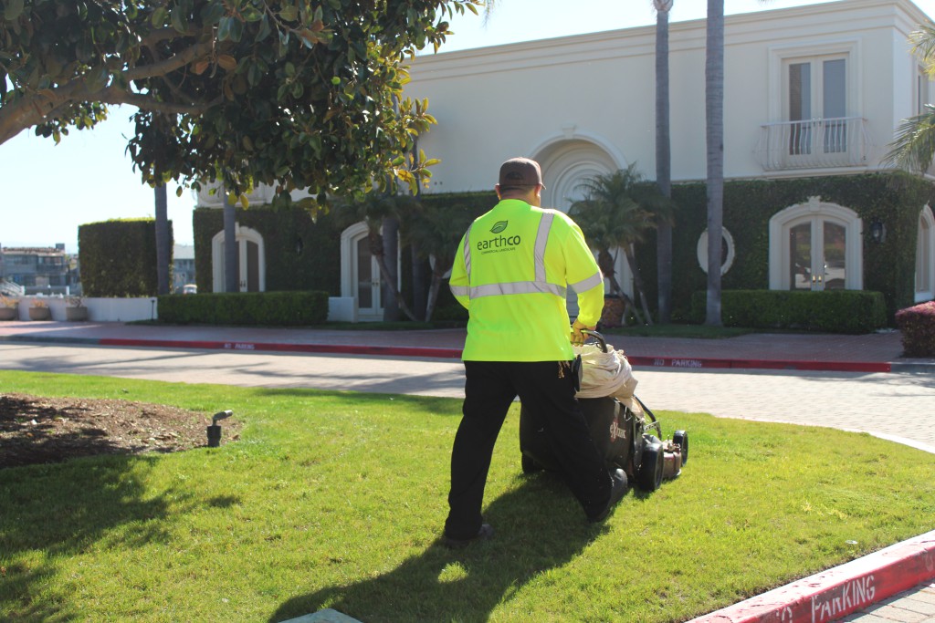Earthco Commercial Landscape