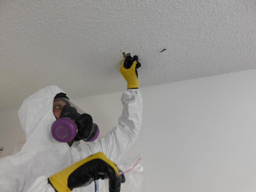 Global Restoration Team