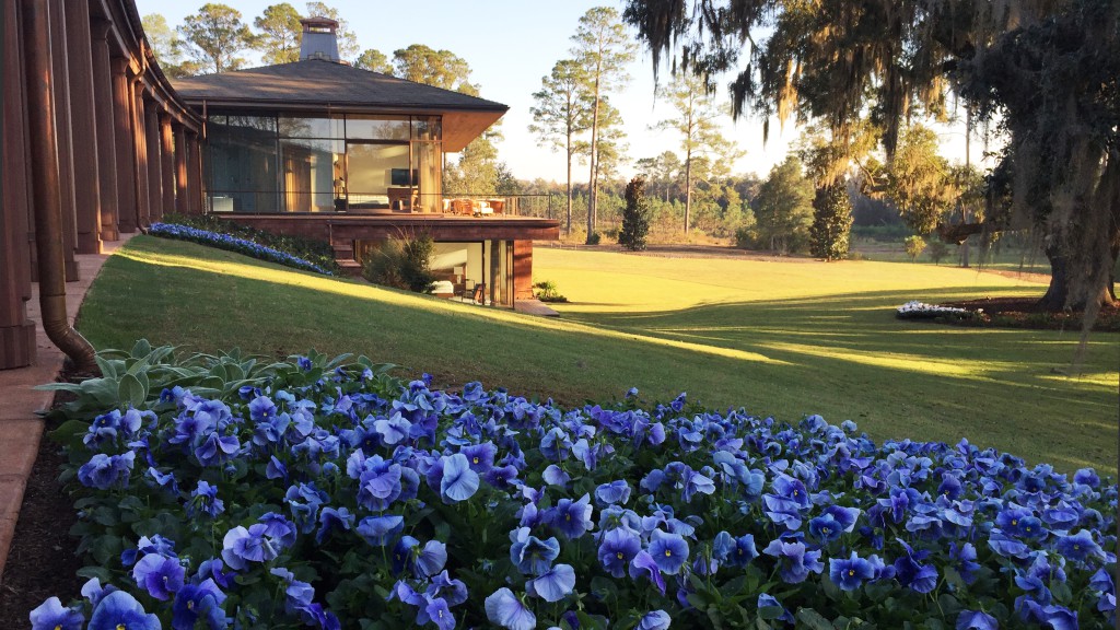 Andres Montero Landscape Architecture