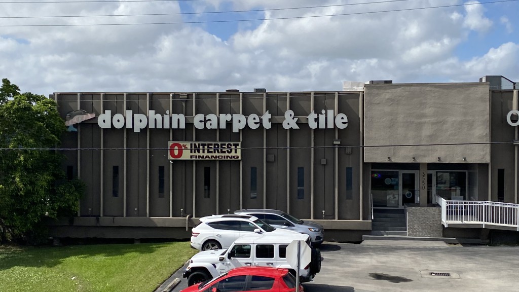 Dolphin Carpet And Tile