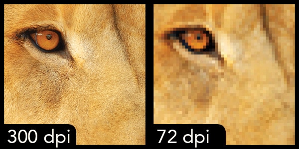Are your photos good enough resolution (dpi) for printing? | Econoprint