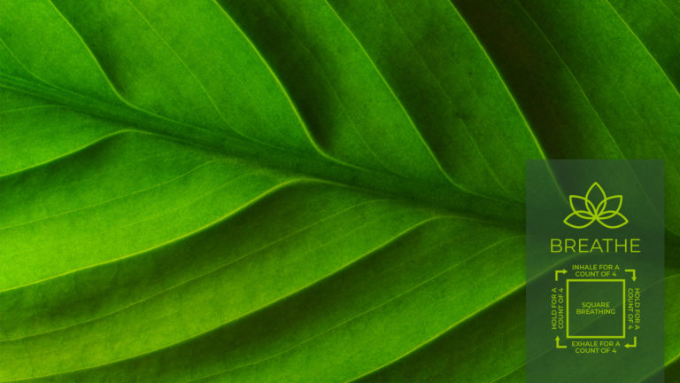 Feeling Stressed? Find Your Calm With These 5 Images and Square ...