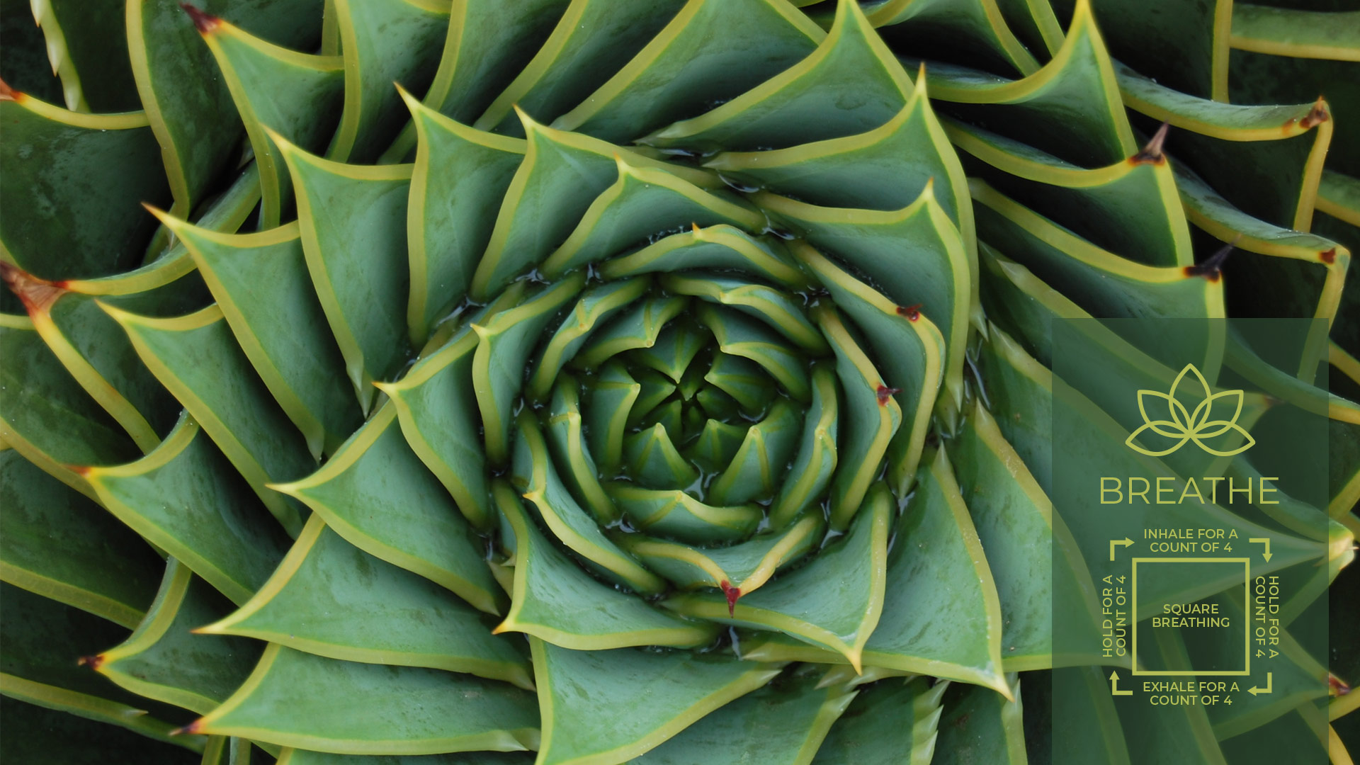 Feeling Stressed? Find Your Calm With These 5 Images and Square ...