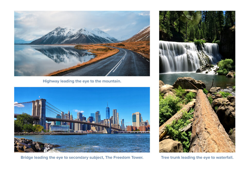 6 Tips for Better iPhone Photos | Econoprint