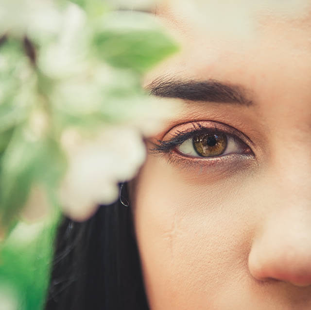 Welcome to Breslau Family Eye Care