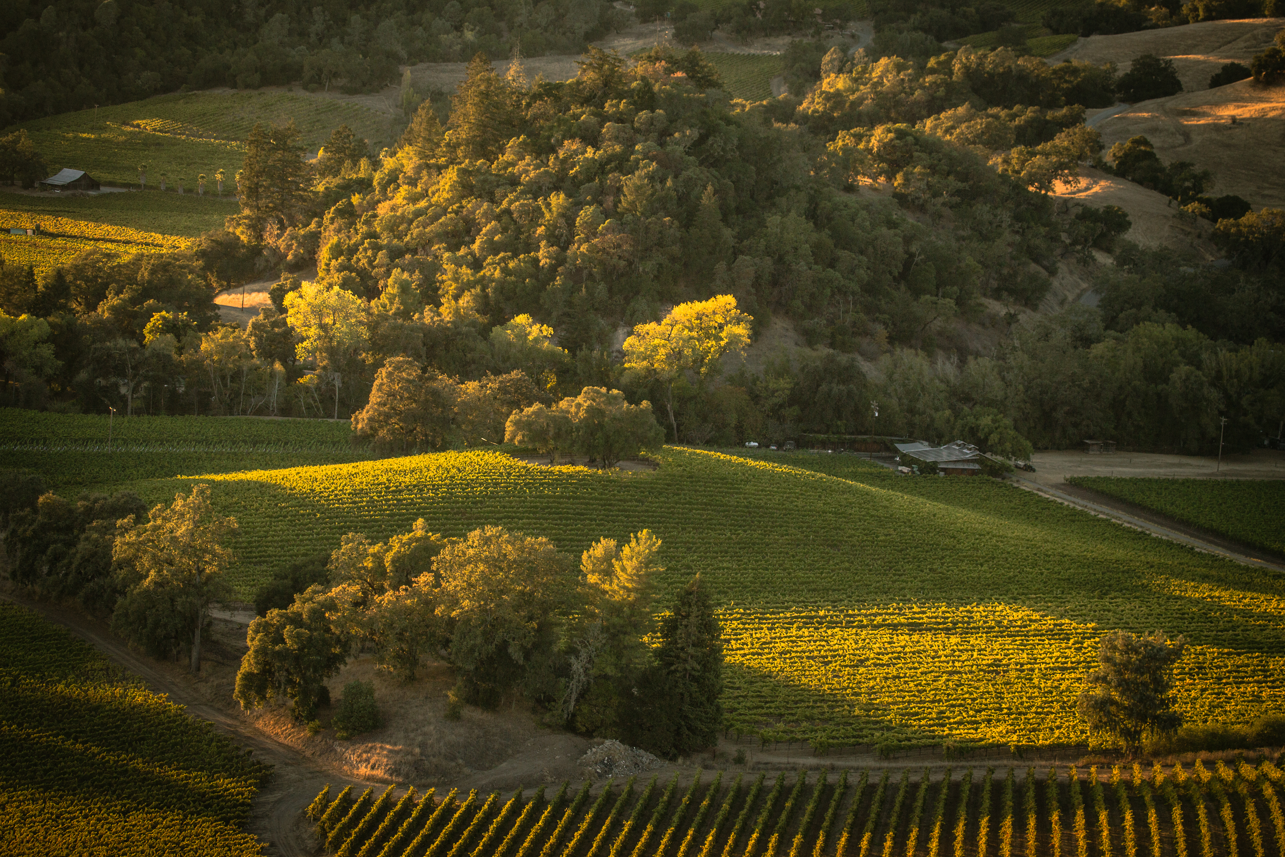 Garden Creek Ranch Vineyards Winery Garden Creek Ranch Vineyards Winery
