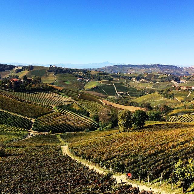 Getting To Know Piemonte 6-Bottle Sampler - Kermit Lynch Wine Merchant