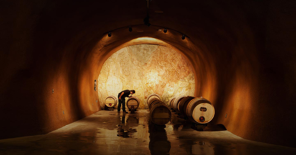 2022 Purlieu Napa Valley Cabernet Sauvignon - Purlieu Wines