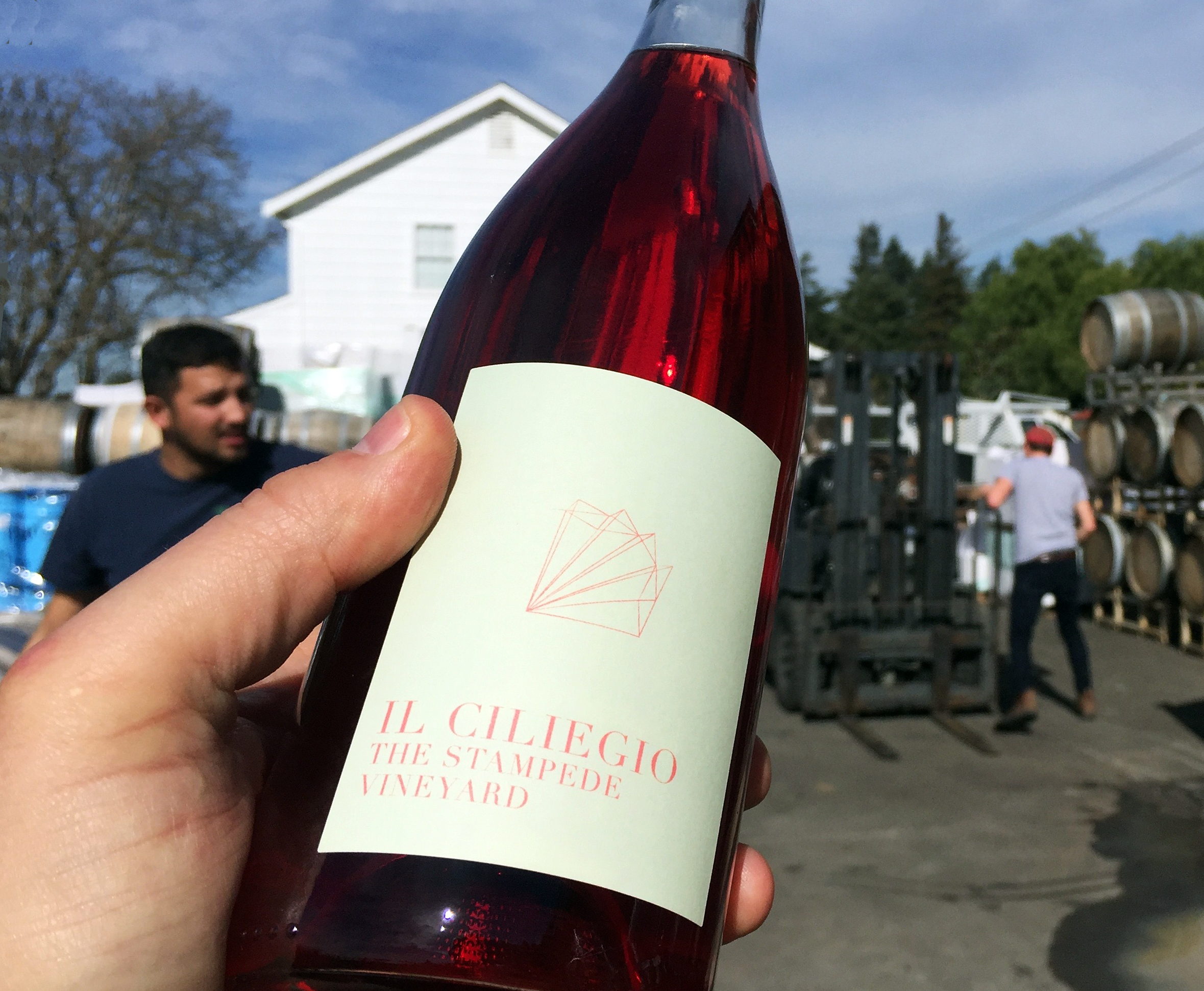 LOS ANGELES RIVER WINE COMPANY - 2015 Il Ciliegio Stampede Vineyard
