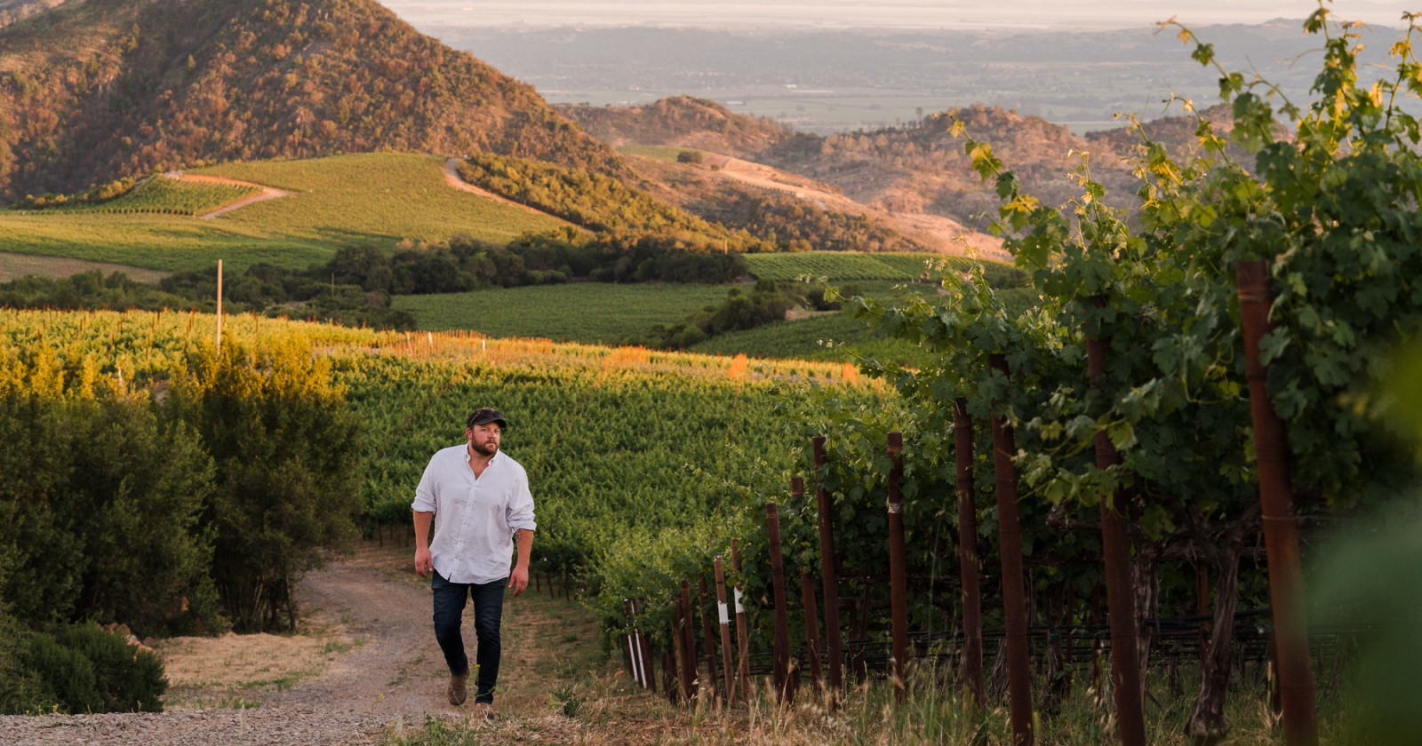 From Gold Rush To Grapevines: Stagecoach Vineyard