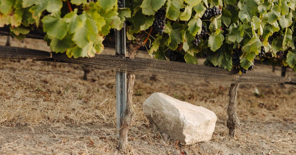 Limestone Soils of the Sta. Rita Hills