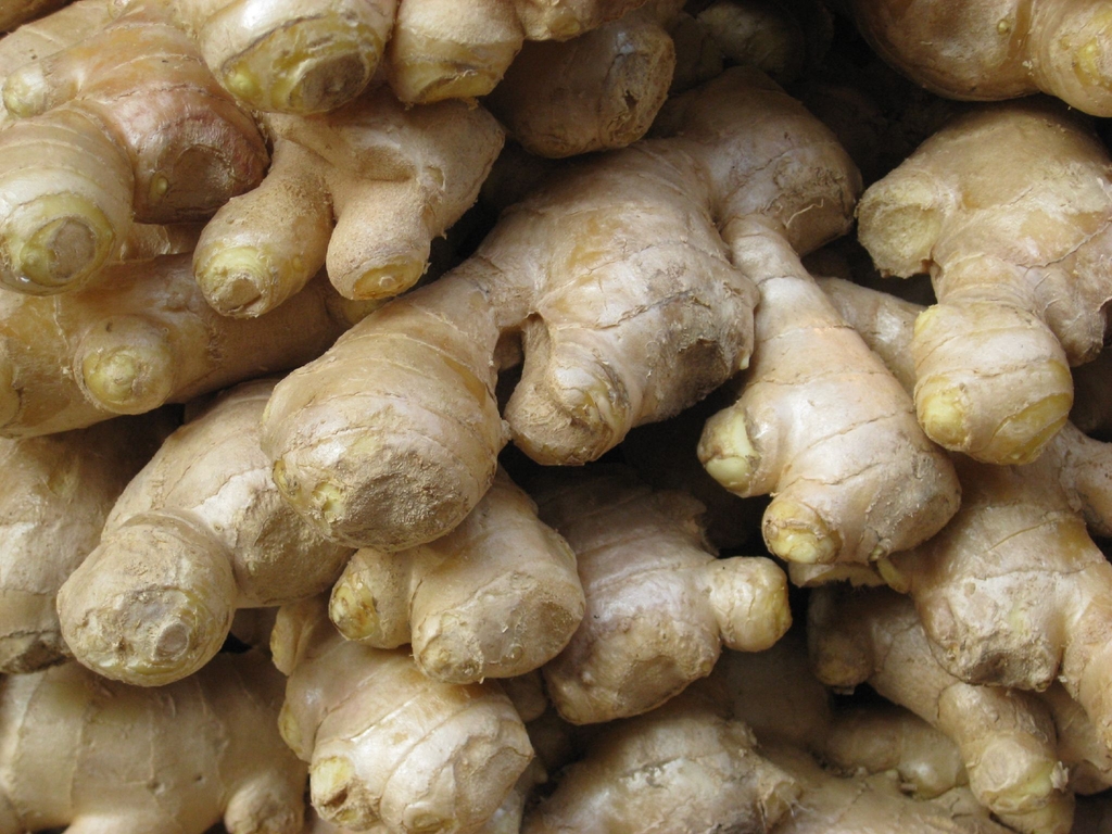 Zingiber (Ginger Root) | North Carolina Extension Gardener Plant Toolbox