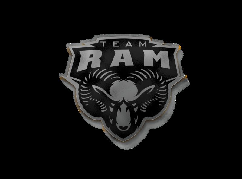 RAM Coaching | Programs