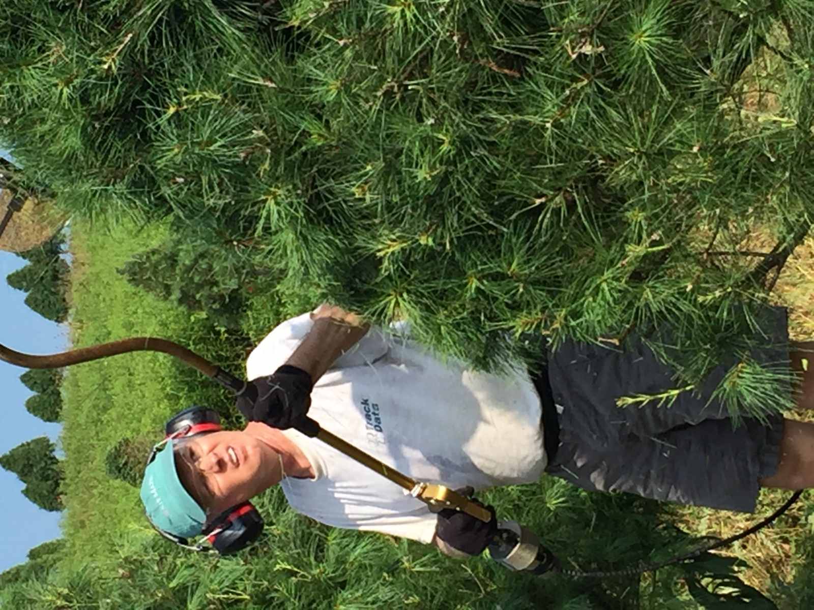 Michael Ryan's personal website