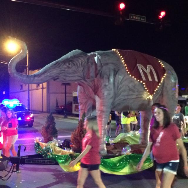 Erwin Elephant Revival - EleNotes - The Elephant Sanctuary in Tennessee