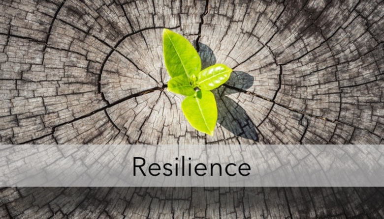 Resilience during Stress: 3 Tips to Immediately Implement | Ellevate
