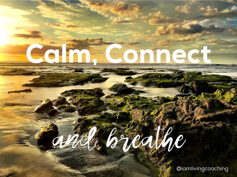 Calm & Connect: Sunday Meditation & Conversation | Ellevate