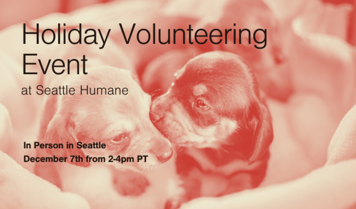 Ellevate Seattle Holiday Volunteering Event with Seattle Humane | Ellevate