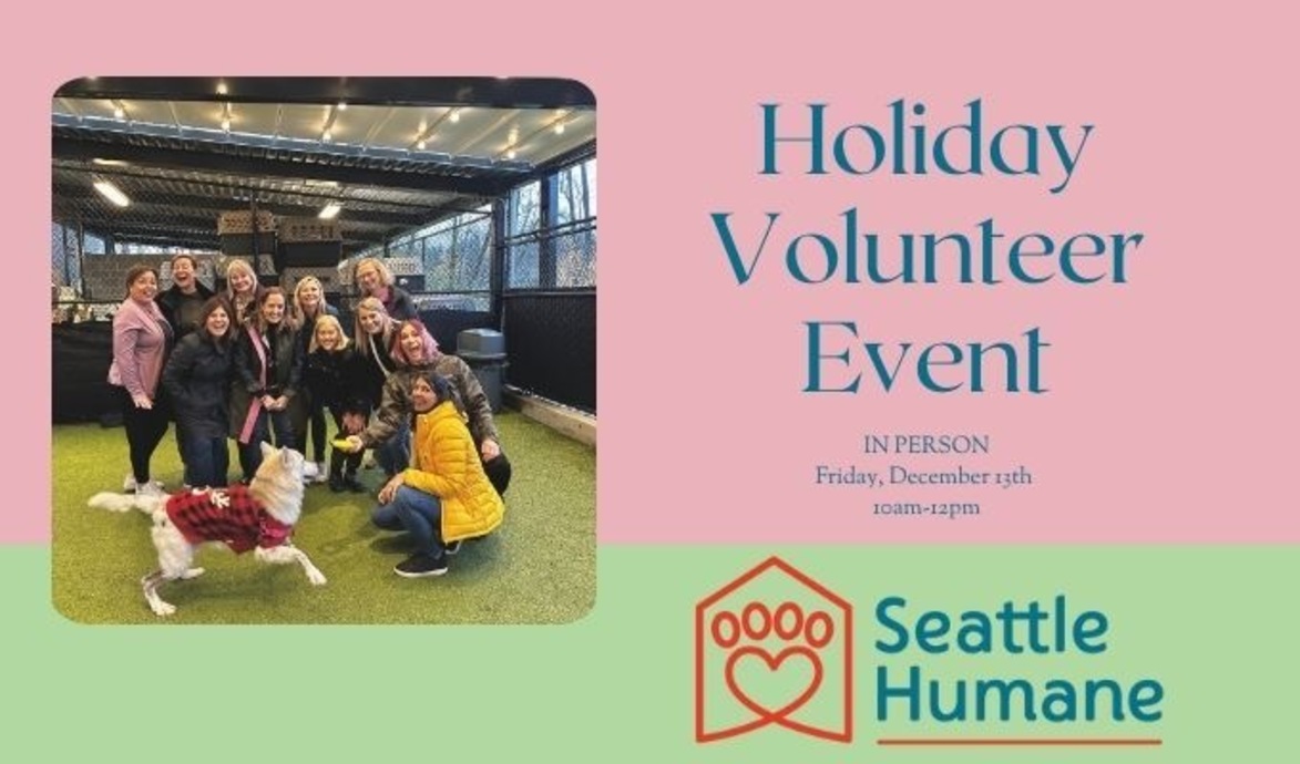 Ellevate Seattle Holiday Volunteering Event with Seattle Humane Society ...