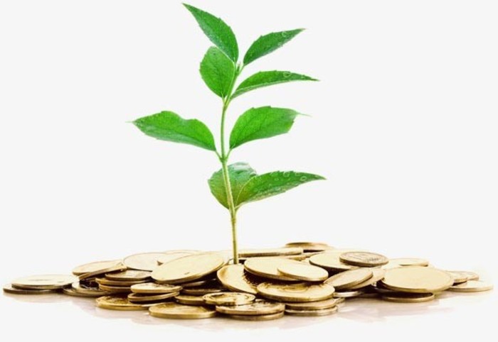 Socially Responsible Investing: What You Need to Know | Ellevate