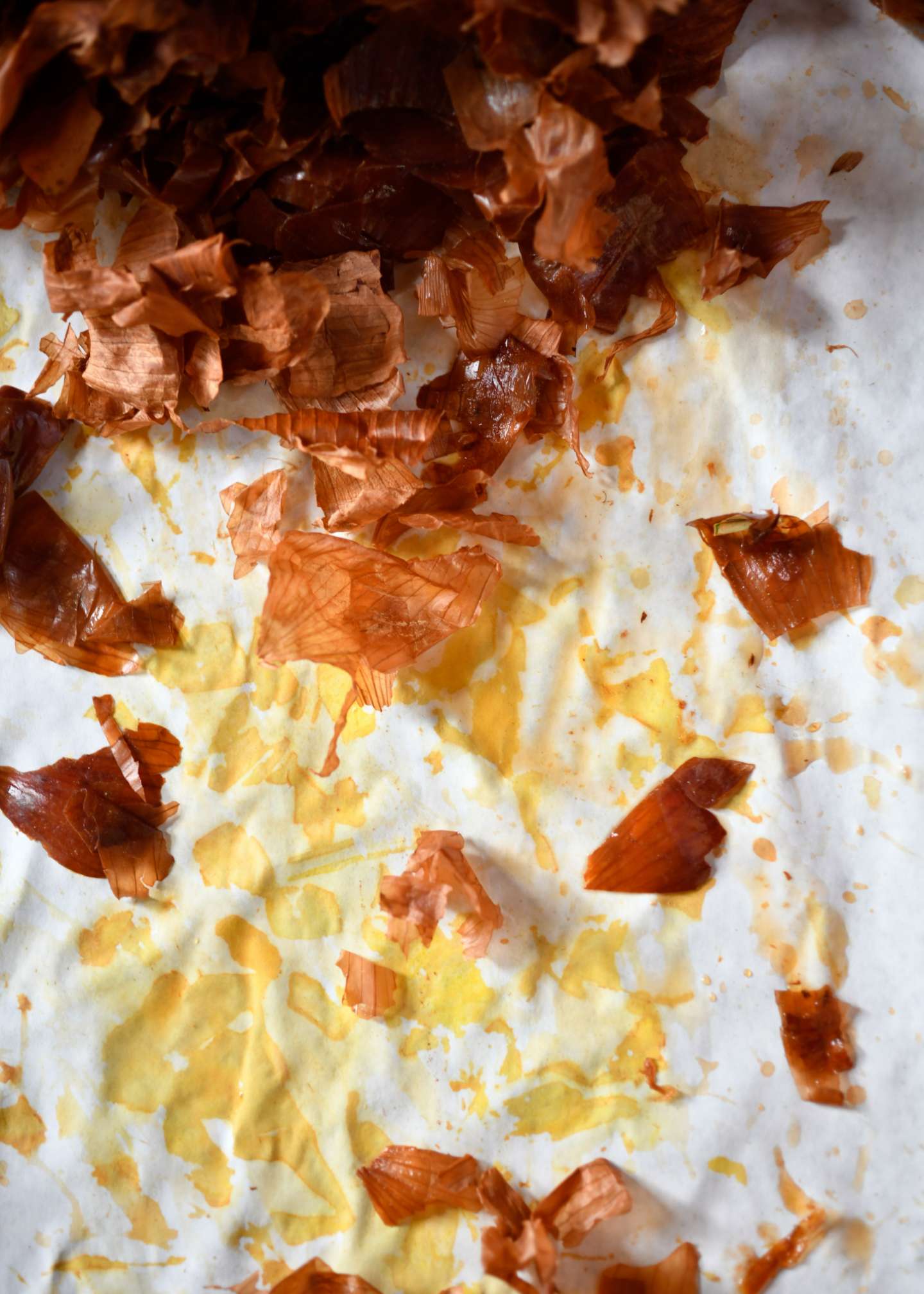 Palette / Palate : Onion Dye and Recipe - Elsevvhere