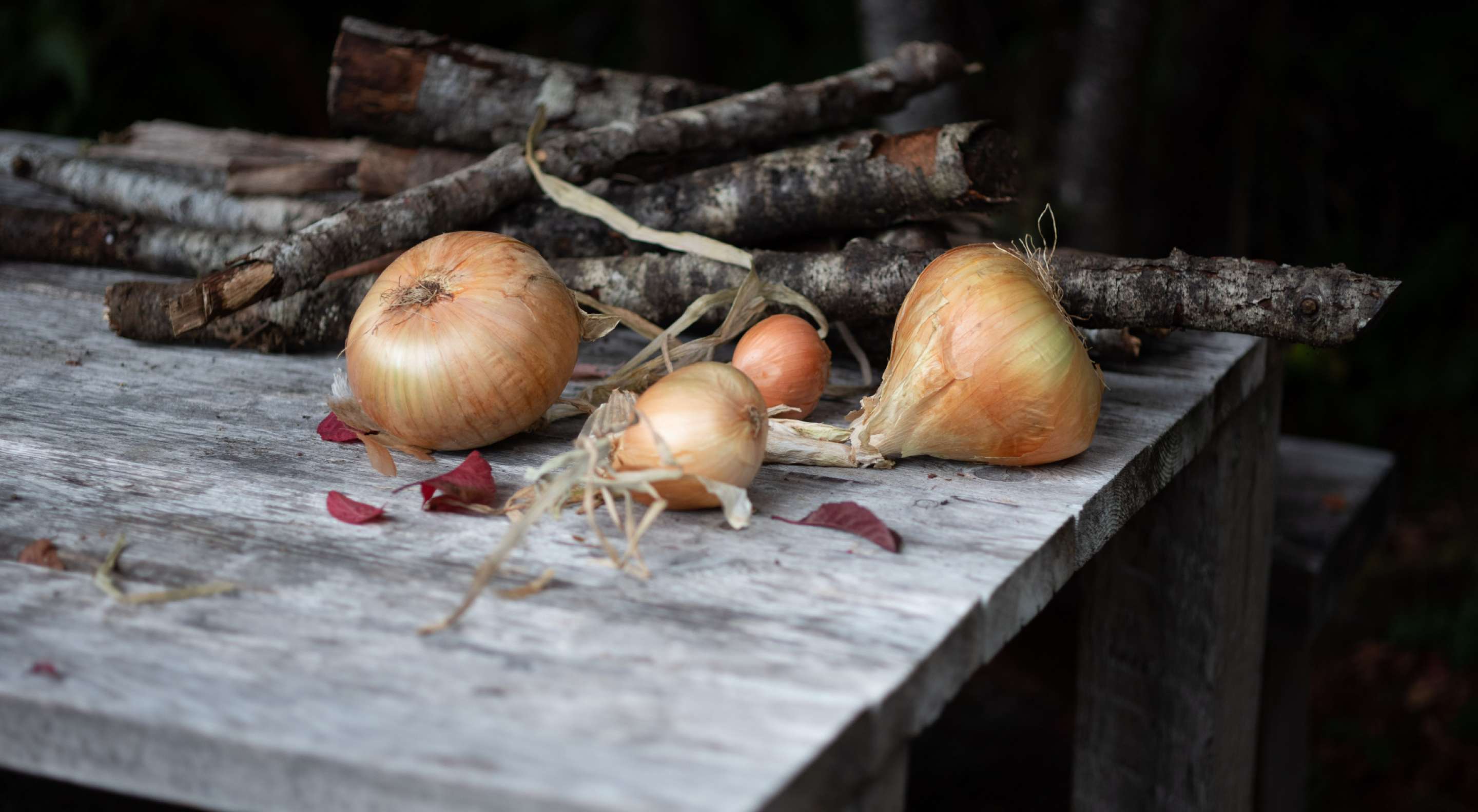 Palette / Palate : Onion Dye and Recipe - Elsevvhere