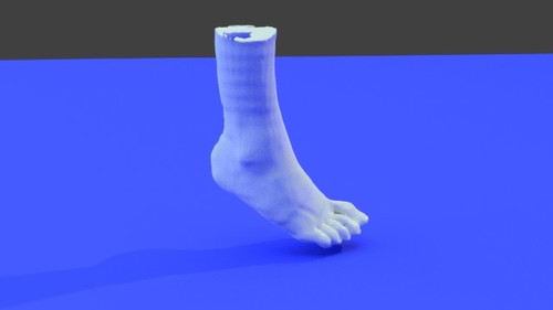 Normal Right Foot and Ankle Skin Model 3D Printable STL File Converted ...