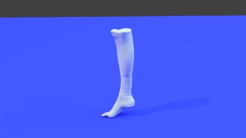 Right Leg Skin Model 3D Printable STL File Converted from CT Scan ...