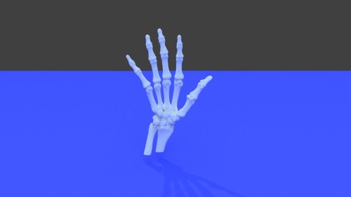 hand bone - stl file processed - Extremity, Upper (Arm) - embodi3D.com